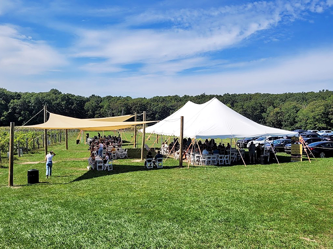 Special occasions find their perfect setting here, where canopies, white chairs, and vineyard views transform ordinary gatherings into extraordinary memories.