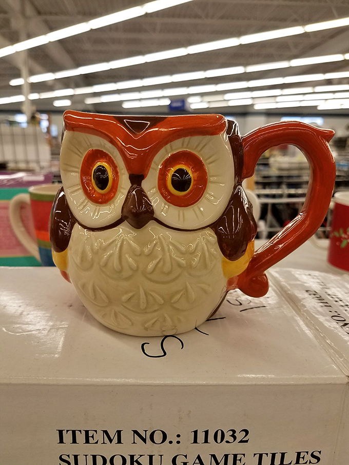 This wide-eyed owl mug practically begs to become someone's favorite morning companion. Coffee tastes better when served with character.