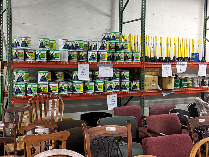 Paint paradise! The DIY enthusiast's dream aisle, where home transformations begin with the pop of a lid.