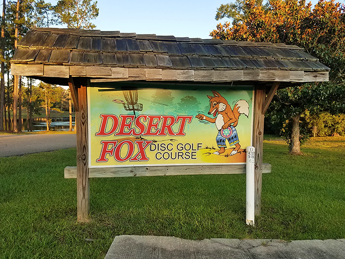 The Desert Fox Disc Golf Course: where Mississippi's pine forest becomes the most scenic obstacle course for flying discs and weekend warriors.