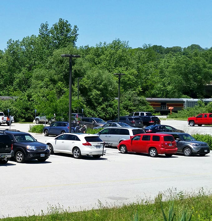 That elegant suspension bridge isn't showing off—it's just Ohio casually reminding you it has engineering marvels amid all this natural beauty.