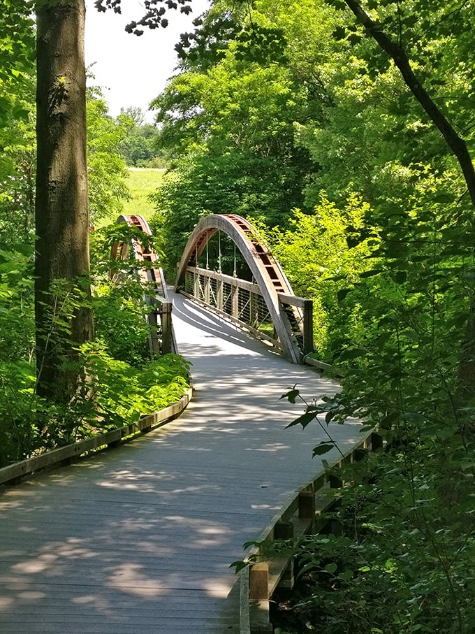 This arched bridge beckons like a portal to another garden realm&mdash;the kind of path that makes you quicken your step just to see what's next.