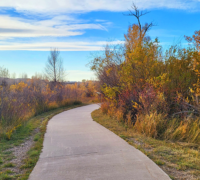 Fall transforms this paved pathway into nature's red carpet, inviting you to strut your stuff among autumn's finest wardrobe changes.