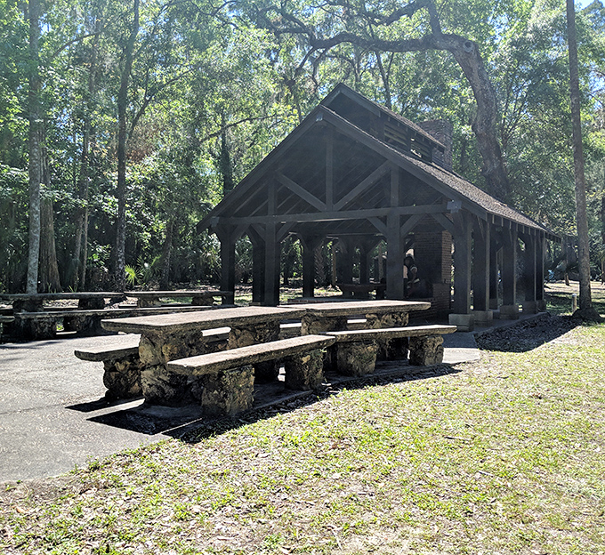 This rustic pavilion, built by the CCC during the Depression, has hosted more family gatherings than your favorite aunt's dining room.