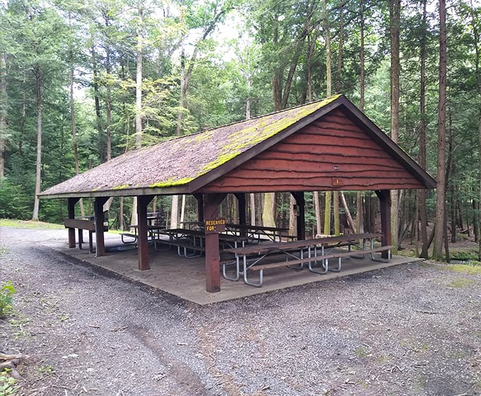 This rustic pavilion has hosted countless family gatherings, each picnic table holding stories of celebrations, reunions, and perfectly charred hot dogs.