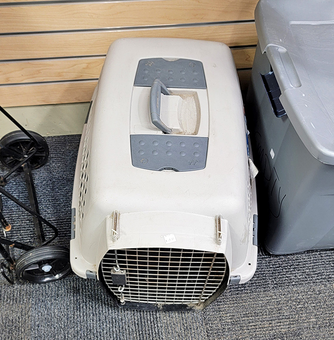 A pet carrier awaiting its next adventure&mdash;perfect for transporting your furry companion without transporting your savings away.