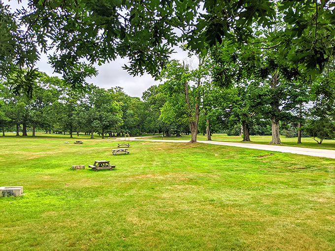 Social distancing, 1920s style: Goddard Park's spacious picnic areas offer room to spread out under the protective canopy of towering hardwoods.