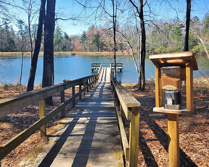 Another perspective of the iconic fishing pier, where patience is practiced and stories grow larger with each telling.