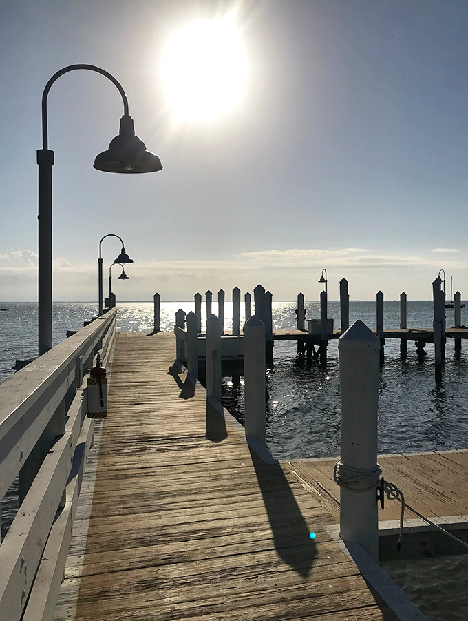 Boardwalk to bliss. This sun-drenched pier stretches toward the horizon like a wooden welcome mat to the Gulf's endless blue embrace.