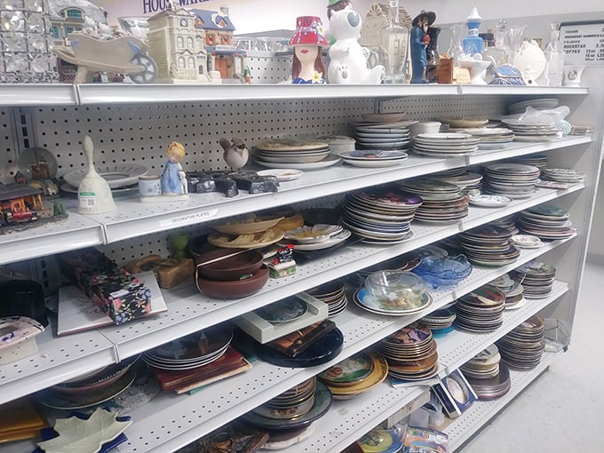 Dish-covery zone! Mismatched plates create unexpected charm&mdash;perfect for those who believe dinner parties should have personality, not perfection.