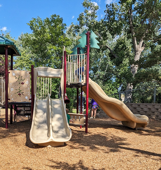 Kid-tested, parent-approved adventure zone. This playground offers the perfect energy release after young explorers have absorbed too much natural beauty.