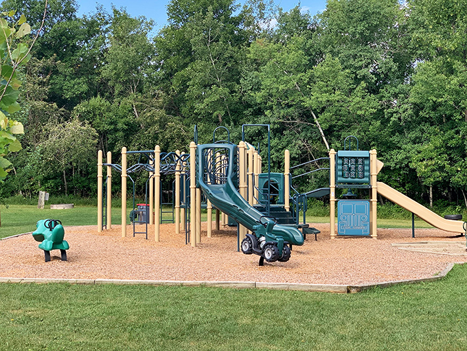 Playground engineering at its finest—where kids burn energy while parents secretly calculate how long until nap time becomes inevitable.