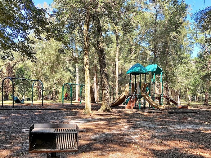 Even the playground equipment seems to bow respectfully to the towering trees, as if acknowledging who the real attraction is.