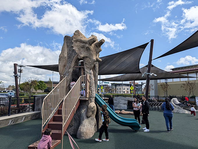 The playground oasis &ndash; where children burn energy while parents contemplate burning through their credit limits.