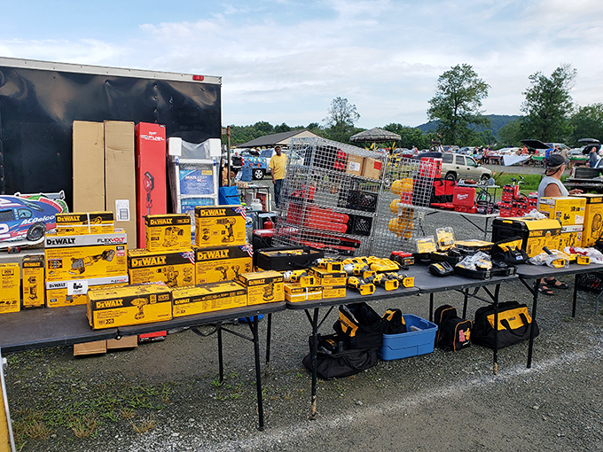 DeWalt yellow brightens the gray gravel like caution signs for your wallet. Someone's home improvement project is about to get serious.