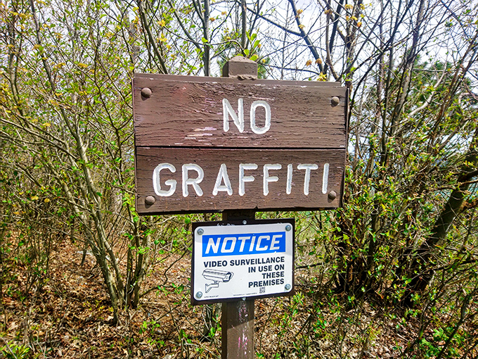 Even scenic overlooks need house rules, though defacing these rocks would be particularly poor form anyway.