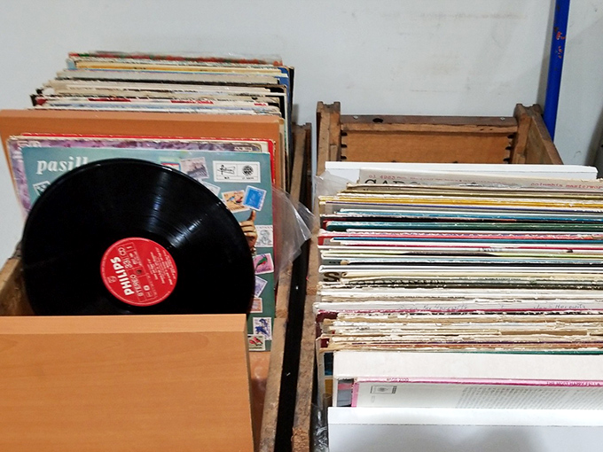 Vinyl treasures hiding among the stacks &ndash; because everything old is new again, especially your music taste.