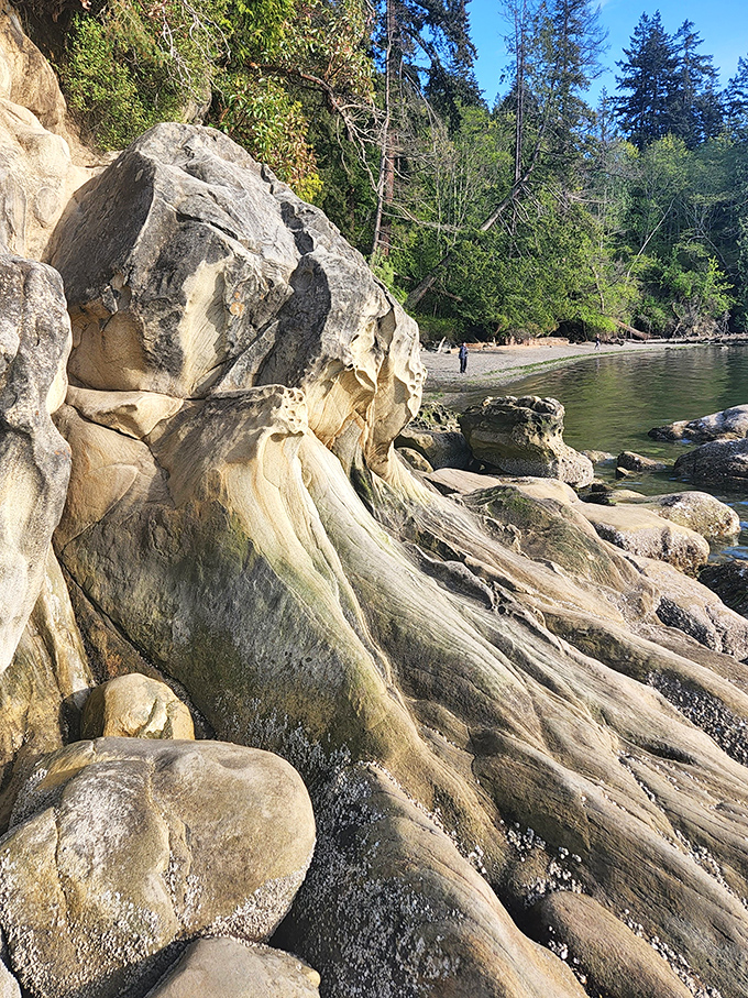 Sculpted by millennia of waves and weather, these sandstone formations reveal nature's patient artistry in every curve and crevice.
