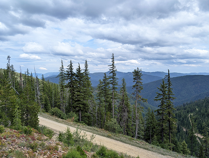 The view from Mount Tom's trails&mdash;where the air is so fresh you'll wonder if your lungs have been missing out all these years.