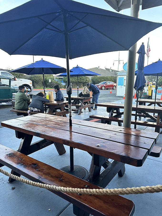 Where strangers become friends over shared seafood obsessions. These weathered tables have hosted countless "I can't believe how good this is" moments.