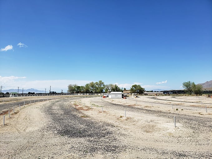 Wide open spaces and endless skies – the drive-in's natural amphitheater makes every screening feel like a special event.