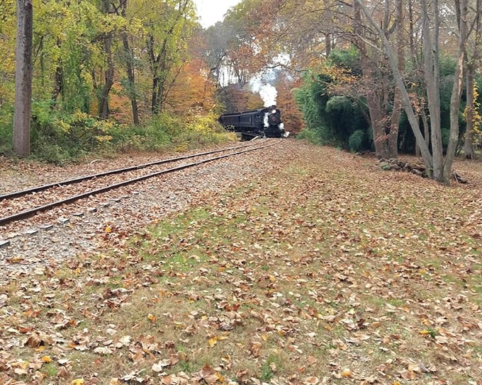 All aboard for nostalgia! The historic steam locomotive chugging through nearby tracks completes your journey back in time.