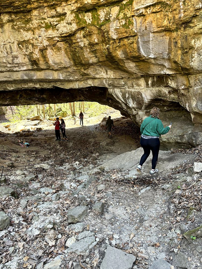 Nature's architectural marvel. This natural bridge has been perfecting its design for millions of years&mdash;no human architect required. 