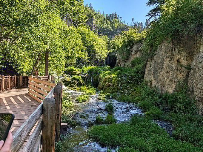 Boardwalks through Spearfish Canyon let you experience wilderness without sacrificing shoe cleanliness – the ultimate compromise for reluctant hikers.