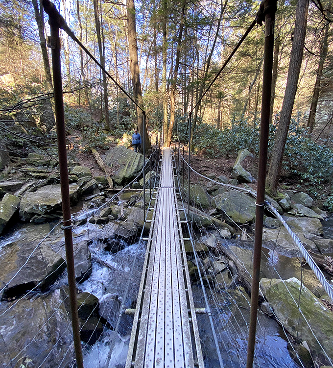 This suspension bridge turns crossing a creek into an Indiana Jones moment, minus the alligators and booby traps.
