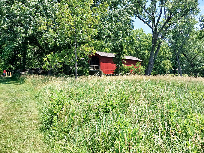 Prairie grasses frame the distant bridge, a quintessentially Midwestern tableau that feels both timeless and distinctly Illinois.