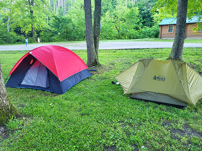 Home sweet temporary home &ndash; these colorful tents prove that the best room service comes with a side of birdsong and starlight.