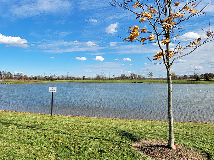A peaceful pond view offers zen moments between the adrenaline rushes of finding incredible deals.