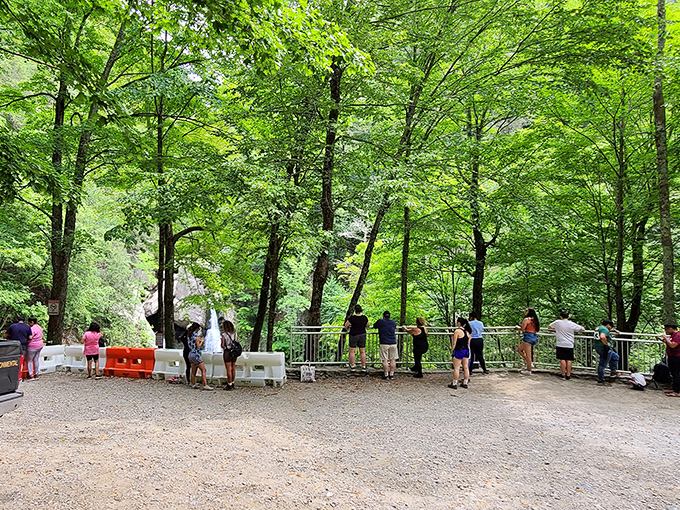 The viewing platform gathers strangers into a temporary community of wonder-seekers, all sharing the same collective "wow" moment.