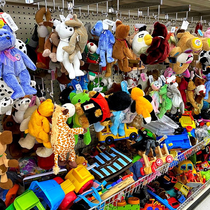 The stuffed animal section: Where childhood dreams hang out, waiting for their next adventure.