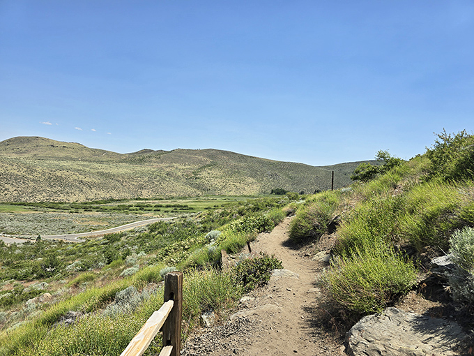 The trail stretches ahead, promising adventure with every turn. That distant mountain isn't getting any closer, but the journey's half the fun.