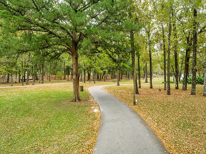 Winding park trails through pine forests offer the kind of peaceful walks that make retirement actually feel like a reward.