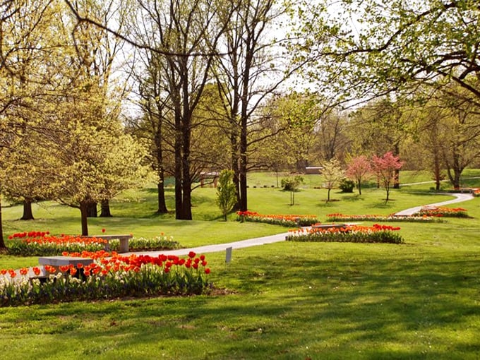 Spring announces itself with tulip battalions standing at attention, their vibrant uniforms bringing winter's gray regime to an end.