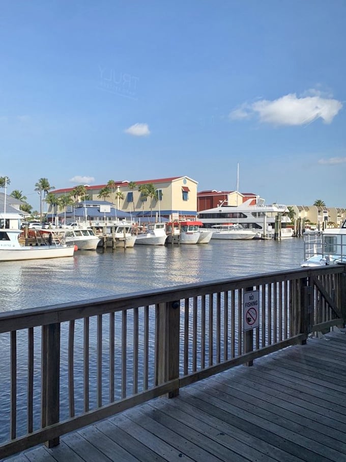Waterfront dining with boat views reminds you why Florida living is worth every hurricane season&mdash;seafood simply tastes better when you can see where it came from.