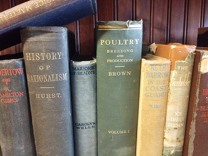 Books that smell like wisdom and attics. From "Poultry Breeding" to "History of Rationalism," these tomes represent an era when knowledge came without Wi-Fi.