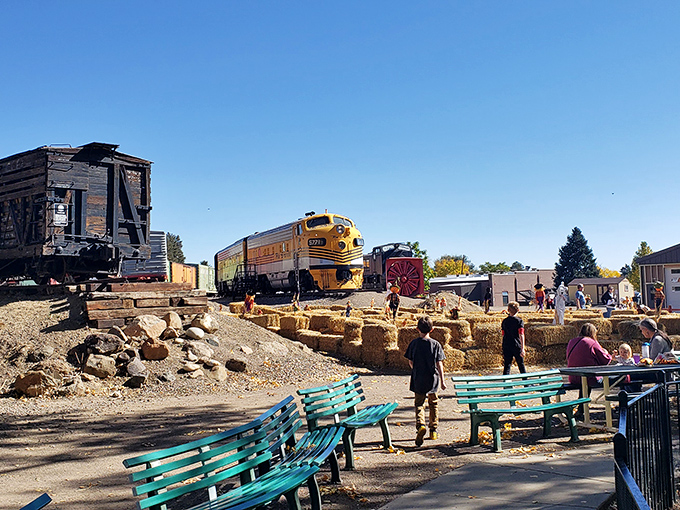 Fall festivities bring families together where hay bales and historic trains create the perfect backdrop for seasonal memory-making.