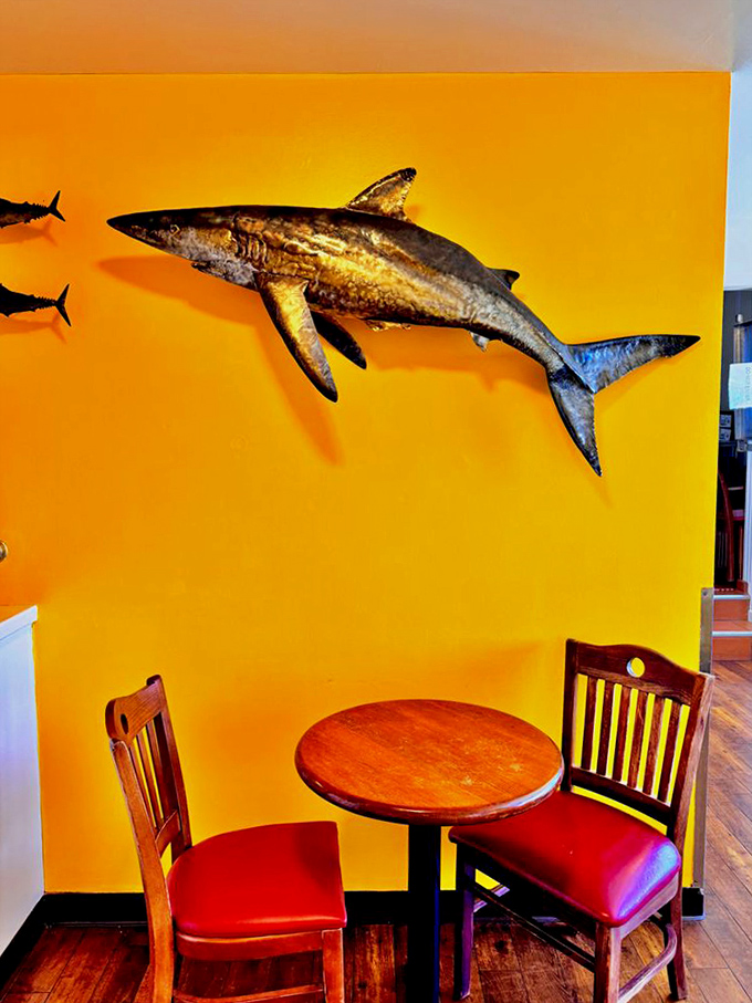 That vibrant yellow wall with its mounted shark creates the perfect "you are here" moment&mdash;casual California cool meets serious seafood business.