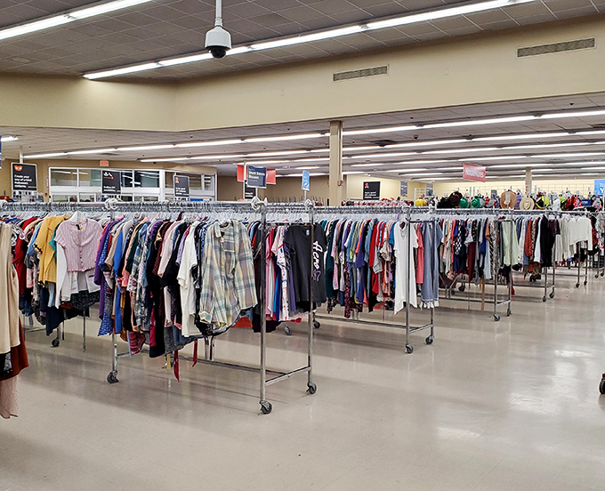 Women's apparel organized by color creating a rainbow of possibilities for reinventing your entire wardrobe affordably today.