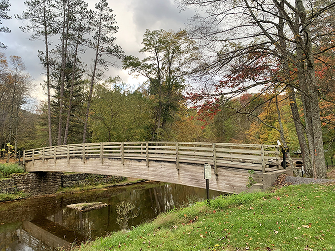 Wooden bridges cross the creek like gentle pathways to peace, inviting you deeper into the forest's quiet embrace.