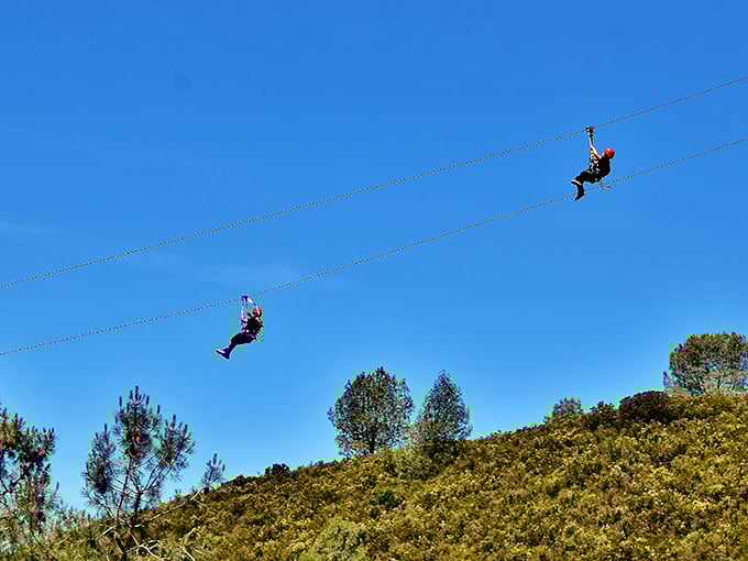 Ziplining across the Sierra foothills provides a bird's-eye perspective of the landscape hiding these underground treasures. Wheeeeeee!