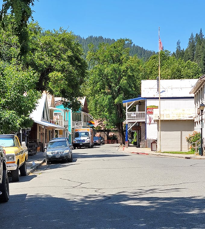 Downieville's main street curves with the river, where buildings seem to grow naturally from the mountainside like sturdy pines.