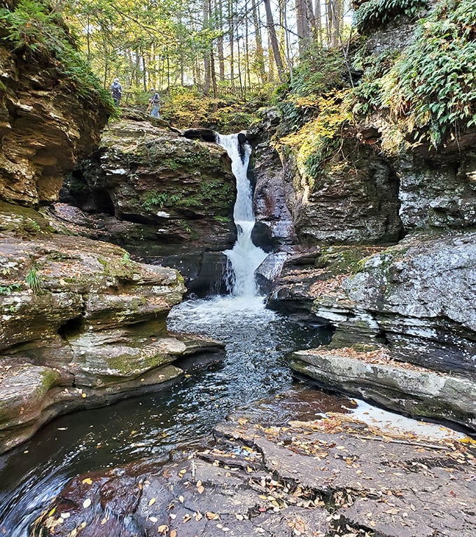 Ricketts Glen's waterfalls tumble through rocky passages. One of 21 reasons this park should top your bucket list.