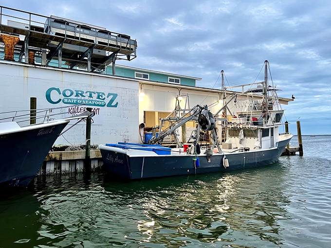 This historic fishing village gem serves grouper sandwiches where commercial boats dock daily.