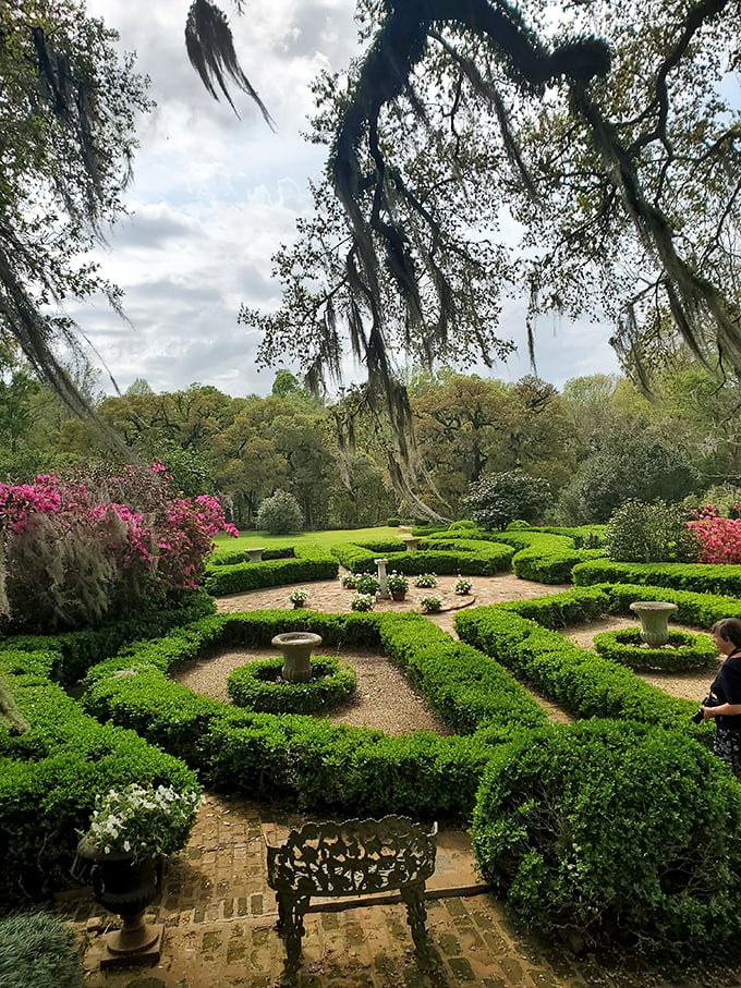 Afton Villa Gardens' meticulously manicured hedges and vibrant azaleas create living geometry that would make any mathematician swoon.