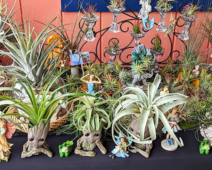 Air plants nestled in whimsical holders&mdash;the perfect houseplants for people who accidentally turn gardens into cemeteries.