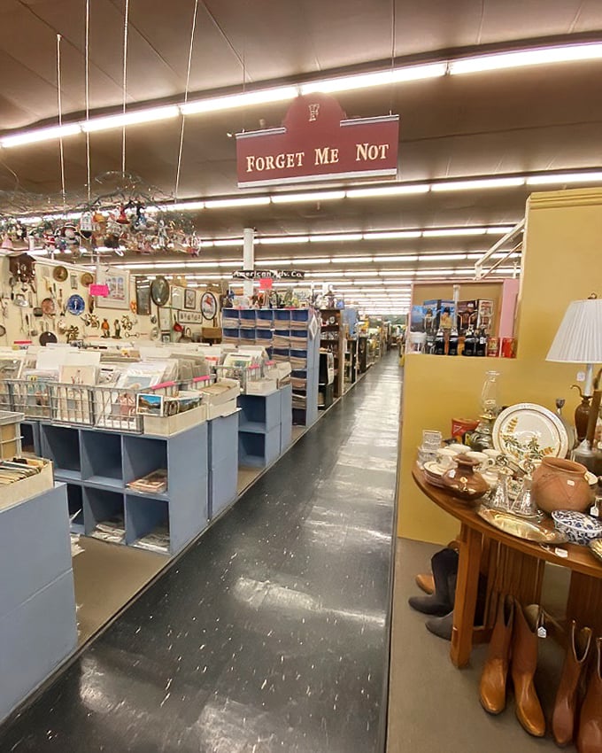 Under the "Forget Me Not" sign, treasures wait to be rediscovered &ndash; like memories you didn't know you had until something triggers them.